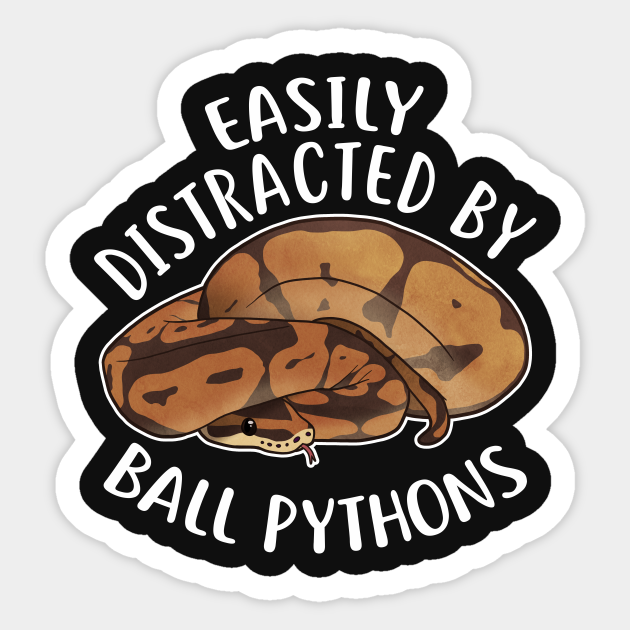 Easily Distracted By Ball Pythons - Ball Python - Sticker | TeePublic